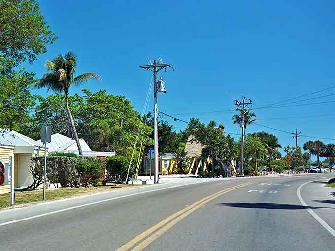 Captiva's main road winds through a tunnel of green, where power lines and palm trees create the island's version of a metropolitan skyline.