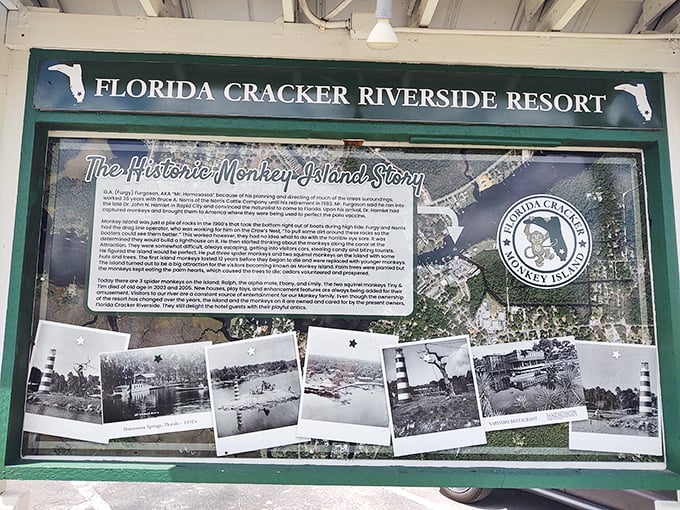 This historical display tells the fascinating story of how a navigation hazard transformed into one of Florida's most beloved and unusual attractions.