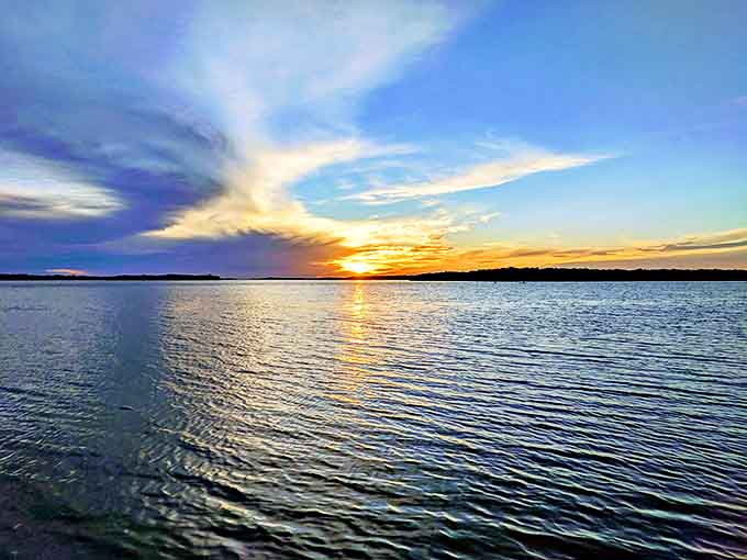 Nature's grand finale: a heron contemplates the day's end as the sun melts into the Gulf horizon.
