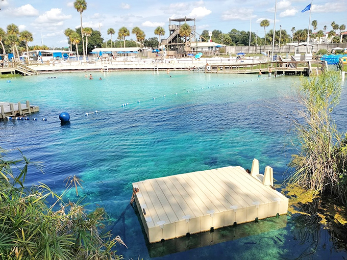 Crystal-clear spring waters create nature's perfect swimming pool at Buccaneer Bay, where visitors can splash in the same waters where mermaids perform.