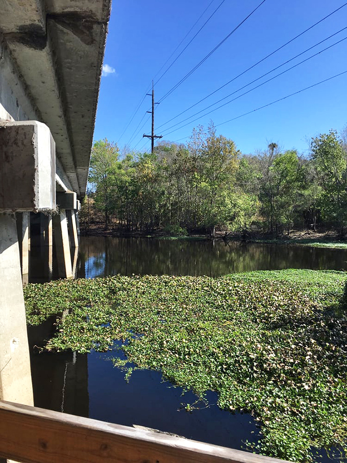 Beneath Morris Bridge, the water creates a perfect mirror image &ndash; twice the nature for the same admission price: free!