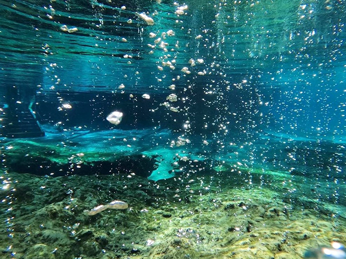 Beneath the surface lies another world entirely &ndash; bubbles dance upward through water so clear you'll forget you're not breathing air.