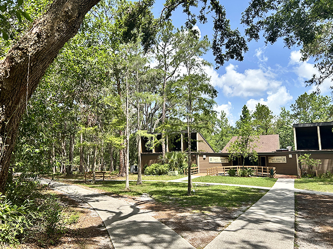 Rustic buildings blend harmoniously with their natural surroundings, serving as gateways to wilderness education and exploration.