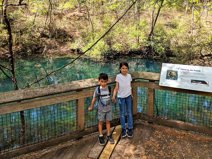 Young explorers discover the magic of Hammock Sink, creating memories that will last a lifetime.