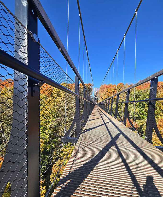 Fall foliage creates a natural fireworks display around the bridge, proving Mother Nature remains the world's most talented artist. No filter could improve this masterpiece!