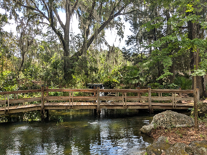 Wooden bridge: This rustic crossing spans a gentle stream, inviting visitors to pause midway and contemplate life's simple pleasures from the perfect vantage point.