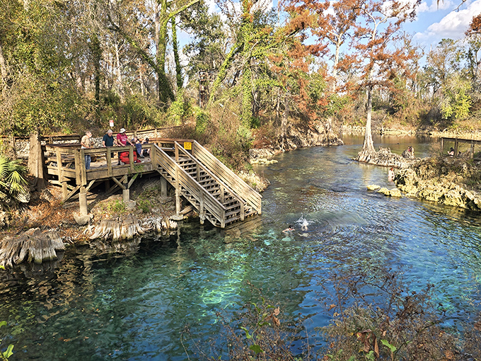 These wooden steps might as well be a stairway to heaven – descending into paradise one plank at a time.