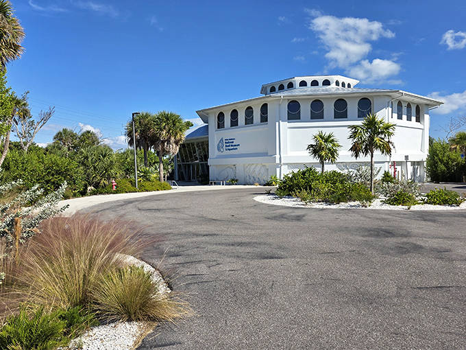 Waves carved into the white walls seem to flow around this shell museum dedicated to ocean treasures.