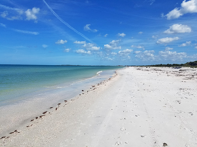Caladesi Island's perfect white sand meets crystal clear waters under a winter sky, proving Florida beaches shine year-round.