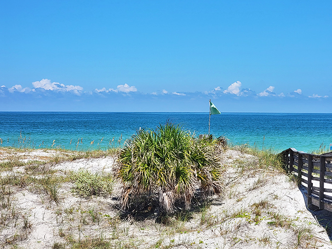 Wooden boardwalks and weeds protect Caladesi's delicate dune system while guiding visitors to shores that time forgot.