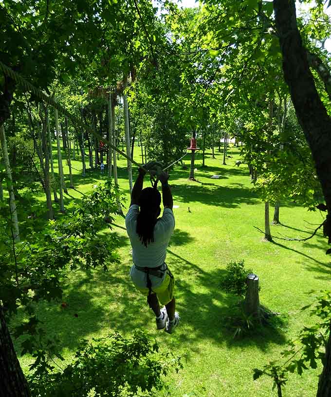 Soaring through Tuscawilla Park's canopy offers a peaceful escape with an adrenaline-pumping twist.