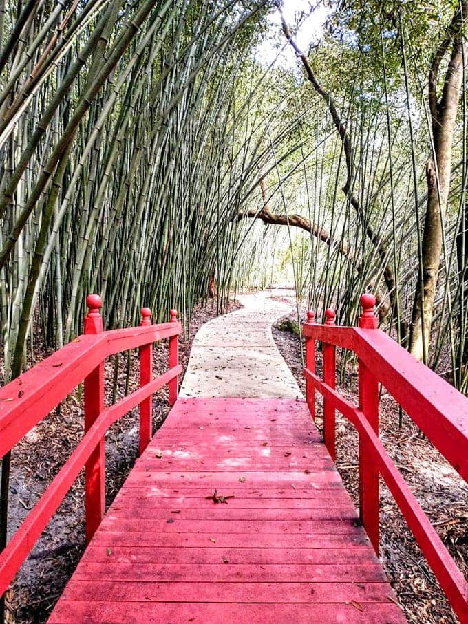 A crimson bridge through towering bamboo creates an enchanting tunnel straight out of a Miyazaki film's dreamscape sequence.