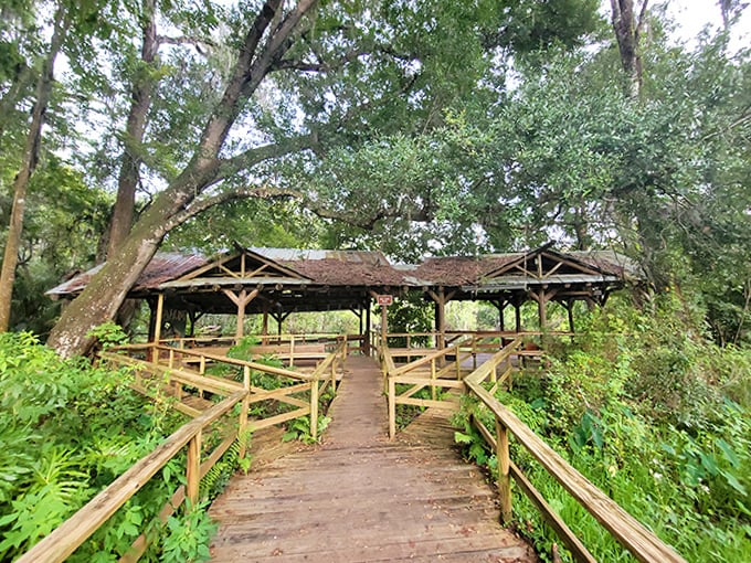 This rustic shelter has witnessed countless family picnics, providing shade and memories for generations of spring visitors.