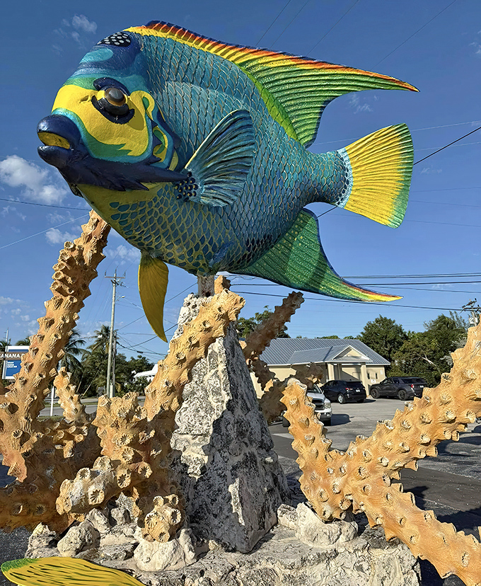 The rainbow-hued version showcases nature's artistic flair, with colors so vibrant they might make a peacock consider a career change.