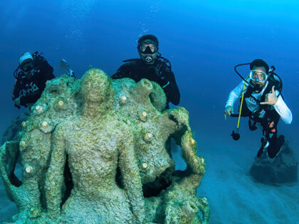 This Magical Underwater Gallery In Florida Has Over 1,000 Stunning ...