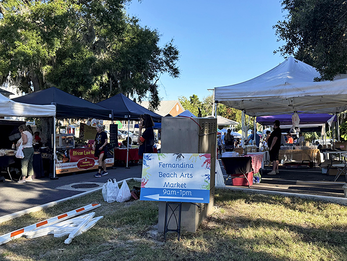 The Fernandina Beach Arts Market transforms public spaces into open-air galleries, where local creativity flourishes under Florida's generous sunshine.