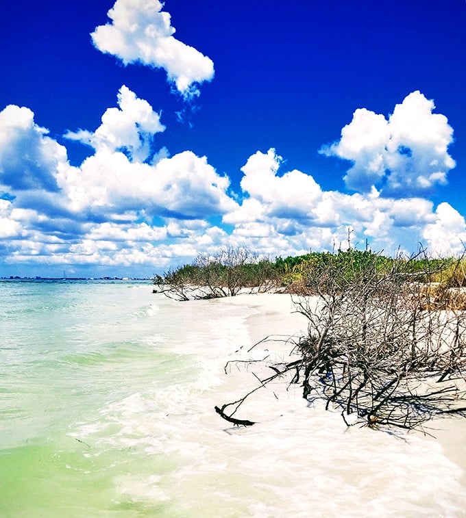 The sky puts on its daily show above Shell Key's waters &ndash; better than any ceiling Michelangelo ever painted.