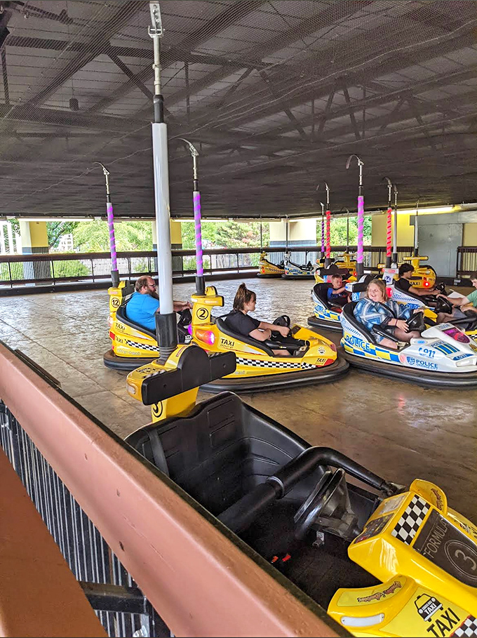 Bumper cars offer the rare socially acceptable opportunity to crash into strangers, creating a symphony of gentle collisions and uncontrollable giggles.