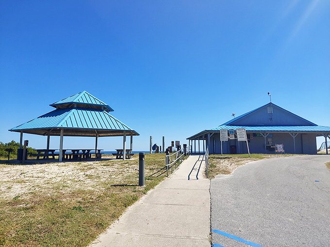 Burney Park offers beachgoers a shaded retreat with picnic facilities and panoramic views of Amelia Island's famous Atlantic shoreline.