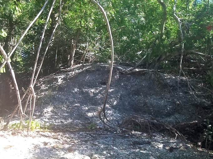 Silent testimony to those who navigated these waters centuries before us, their oyster shell monuments standing the test of time.