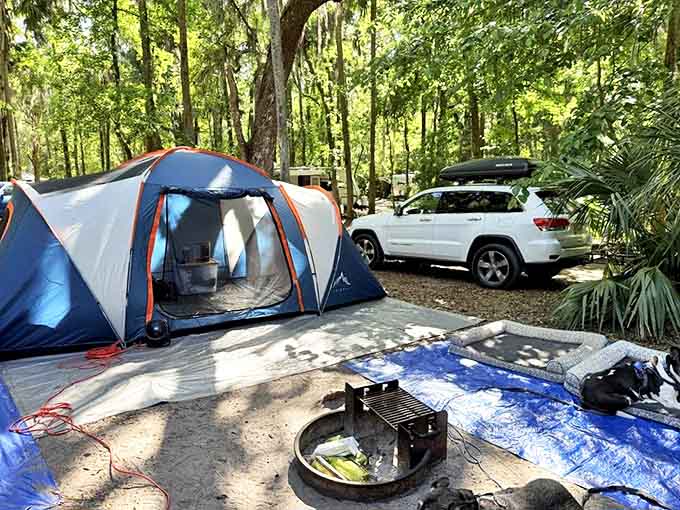 Home sweet temporary home &ndash; camping at Hanna Park means falling asleep to distant waves and waking to dappled sunlight.