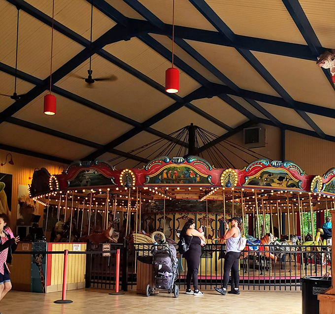 The conservation-themed carousel replaces traditional horses with endangered species, making it the only merry-go-round that doubles as an educational experience.