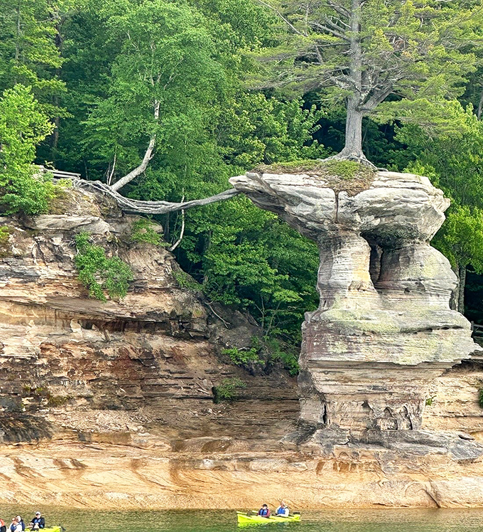 Chapel Rock defies gravity and time, supporting a determined pine tree connected to the mainland by a single, tenacious root bridge.