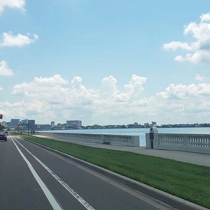 Morning commuters might miss the magic, but those who pause will find Tampa's skyline playing hide-and-seek through the swaying palms.