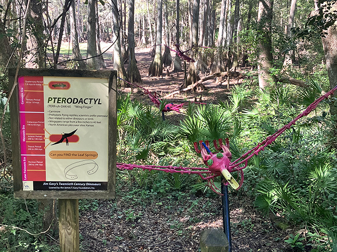 "Flying through prehistory" &ndash; this pterodactyl display combines educational signage with artistic interpretation of ancient Florida skies.