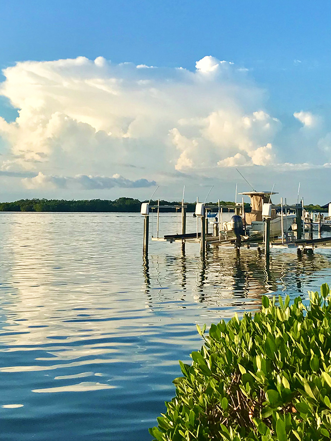 Weathered wooden platforms where boats rest between adventures – gateways to backwater explorations and deep-sea discoveries.