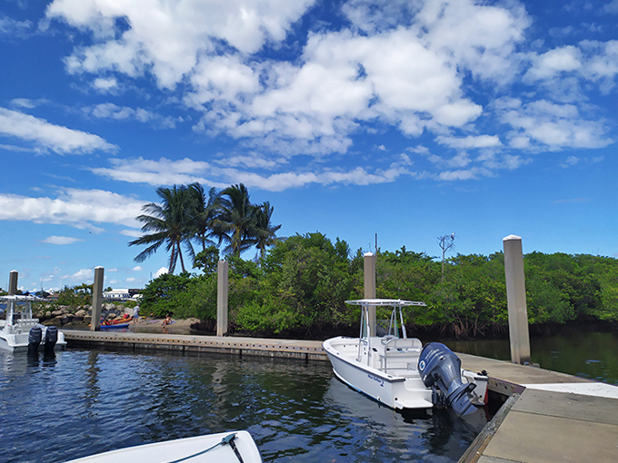 Ready for adventure! Docked boats stand prepared to explore the island's perimeter, where marine life thrives in protected waters.