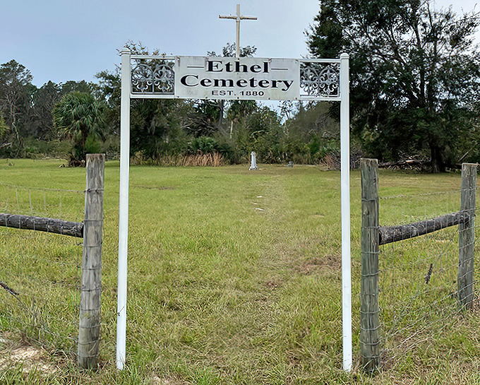 Ethel Cemetery: A peaceful neighborhood where the residents never complain about noise and the landscaping maintains itself with wild Florida charm.