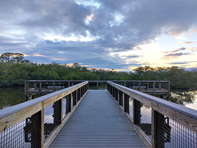 Twilight transforms the boardwalk into a pathway between two worlds&mdash;reality and something more magical.