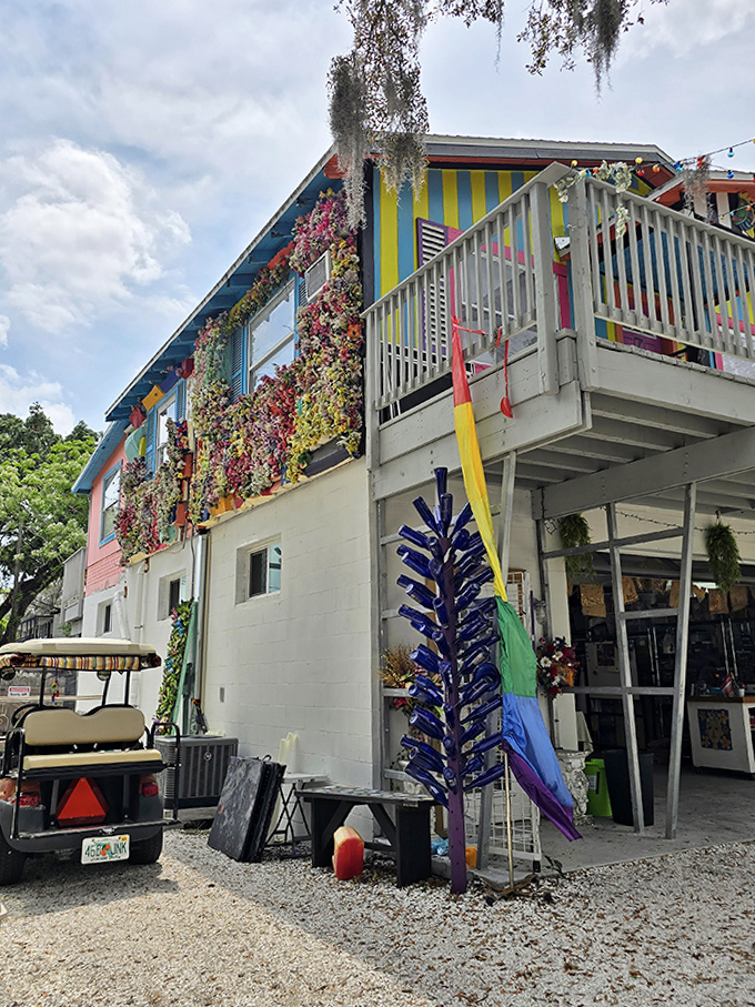 Even the building's exterior refuses to be boring, with flowers cascading from windows like nature's own art installation.