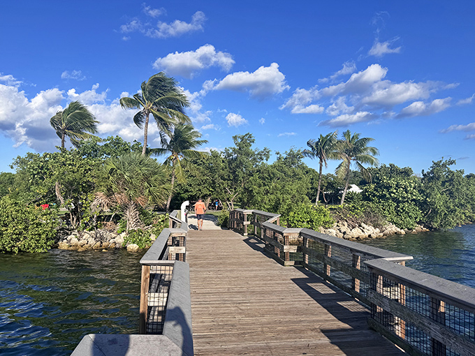 This wooden walkway invites visitors to cross from everyday life into Oleta's realm of natural wonders and unexpected encounters.