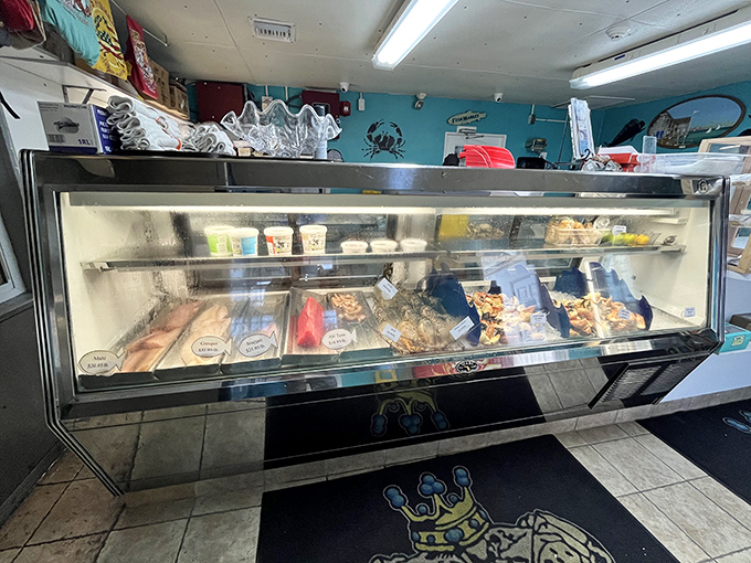 Today's catch displayed like jewels in a case &ndash; tomorrow's dinner still wearing yesterday's ocean. Freshness you can see.