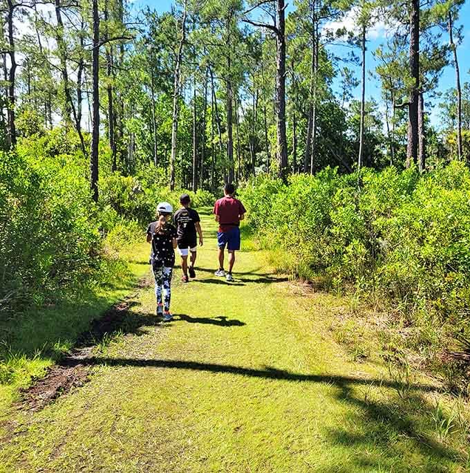 Hikers follow the sun-dappled path through Hontoon's diverse ecosystems, where every step reveals Florida's natural beauty in its undisturbed glory.