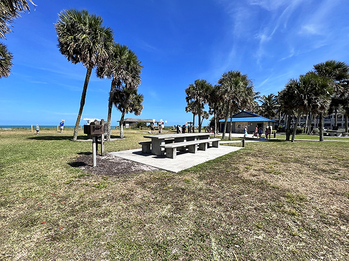 Picnic tables nestled among palms offer the perfect vantage point for watching waves roll in at Humiston Beach Park.