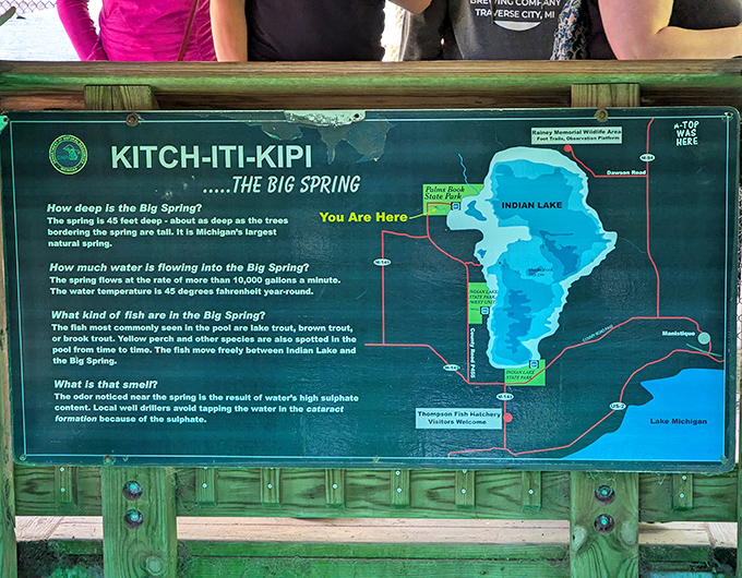 "You Are Here" has never been more exciting! This informational board reveals the secrets of Michigan's largest natural spring.