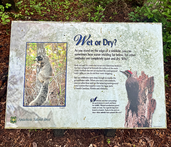 This informative sign explains the "Wet or Dry" sinkhole mystery&mdash;nature's plumbing system is far more complex than anything in your house.