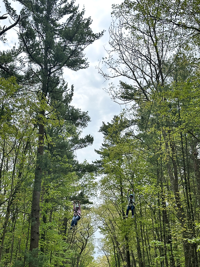 Gliding high above the trees, ziplining offers a peaceful yet thrilling perspective of the forest below.