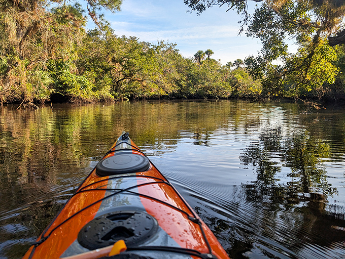 Kayaking the gentle waters offers front-row seats to nature's greatest show, no ticket required&mdash;just bring your sense of wonder.