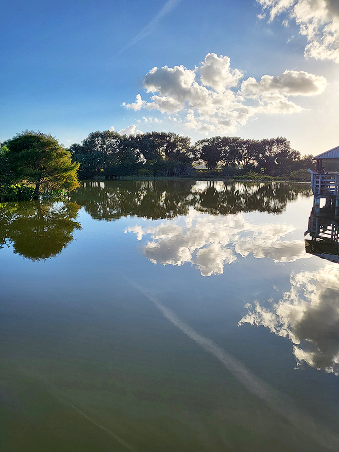 Mirror, mirror on the marsh: Perfect reflections double the beauty, creating postcard-worthy scenes that change with every passing cloud.