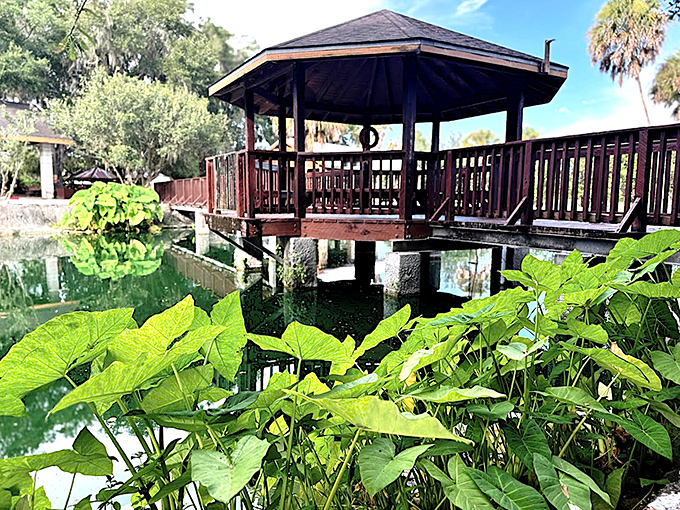 Lakeside Gazebo Walkway: A wooden overlook embraces the spring, where lily pads and reflections create Florida's most serene meditation spot.