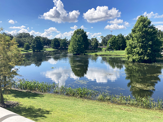 Martin Luther King Jr. Park offers mirror-like waters reflecting Florida's impossibly blue skies &ndash; nature's own meditation space in the heart of town.