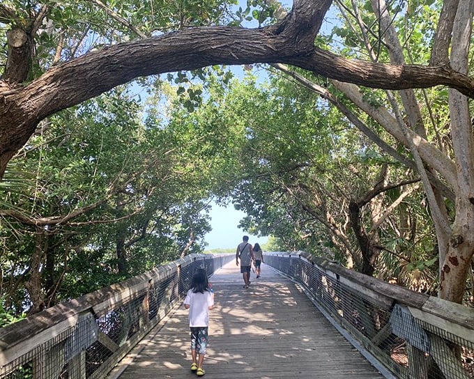 Near the Beach Crossover: The final stretch before paradise, where anticipation builds with each step toward the rhythm of crashing waves.