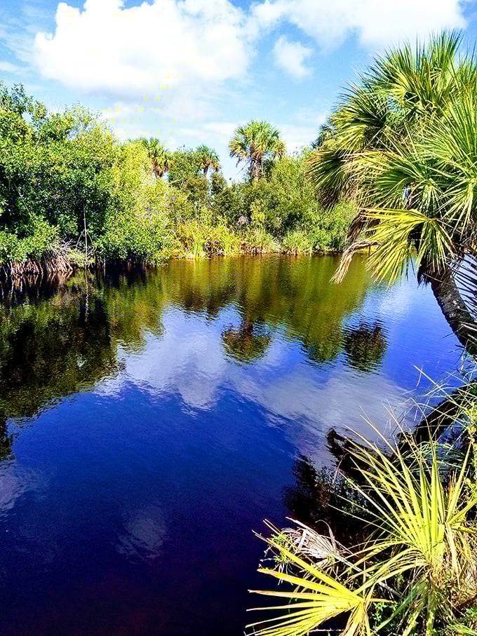 Palm trees line the water's edge, their reflections creating a scene so perfectly Florida it could be on a postcard, if postcards still existed.
