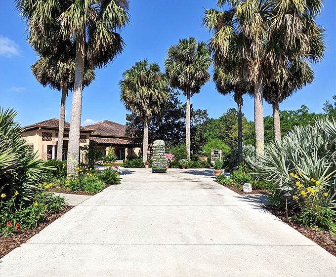Sunlight streams through ancient oaks, creating a cathedral-like atmosphere on this pathway to horticultural heaven.