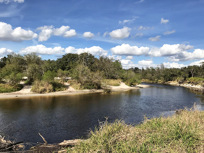 Peace River earns its tranquil name with sandy shores and reflective waters. Nature's version of meditation comes with a soundtrack of gentle ripples.