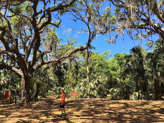 A solitary figure provides scale against the park's majestic landscape, reminding us how small we are in nature's grand design.
